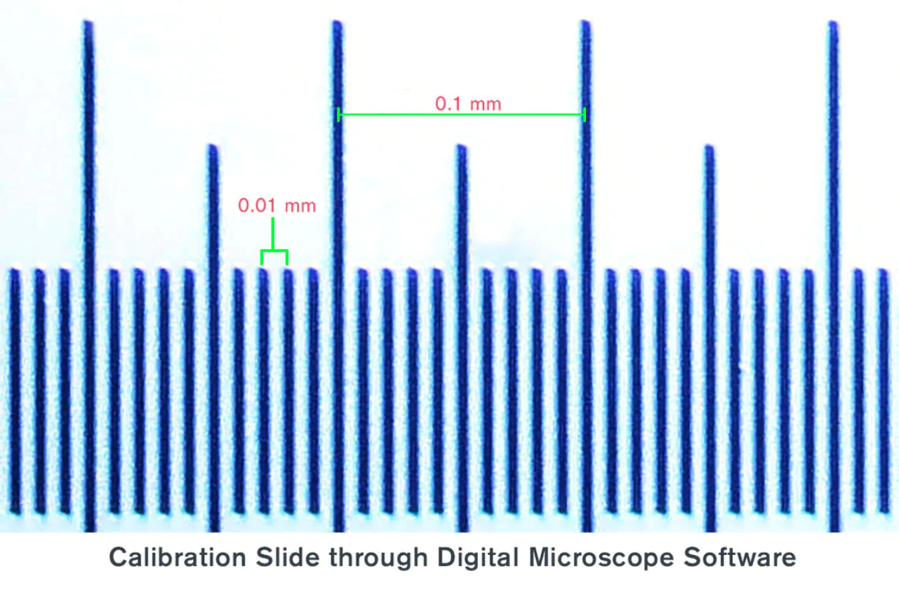 מיקרוסקופים: MICROSCOPE CALIBRATION SLIDE